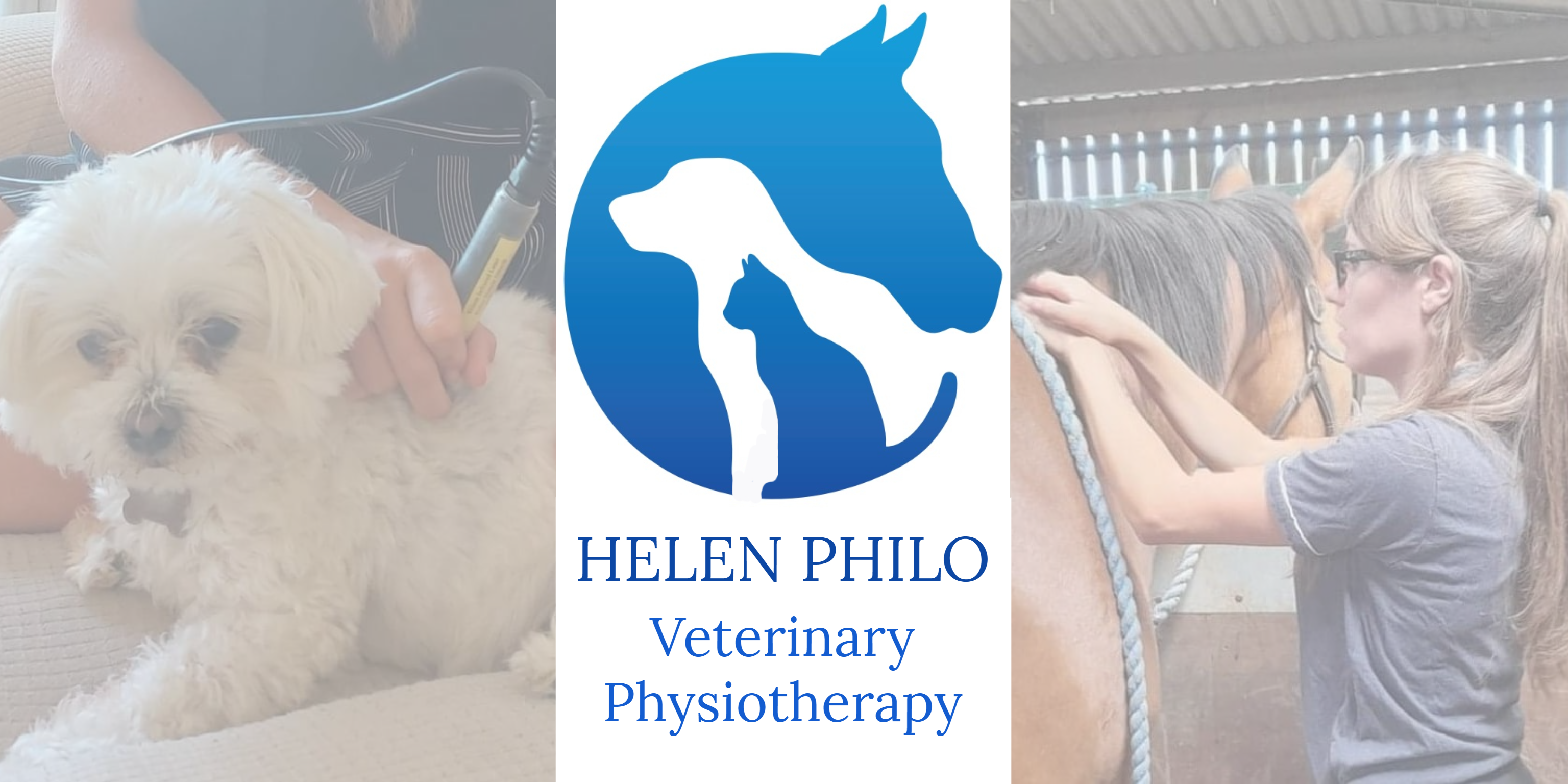 Services - Helen Philo Veterinary Physiotherapy